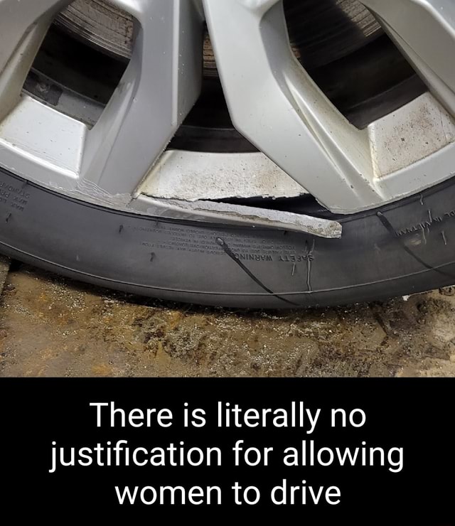 Ss There is literally no justification for allowing women to drive - iFunny