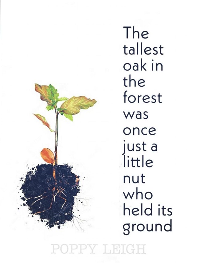 The tallest oak in the forest was once just little nut who held its ...