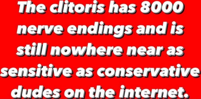 The clitoris has 8000 nerve endings and is still nowhere near as sensitive as conservative dudes ...