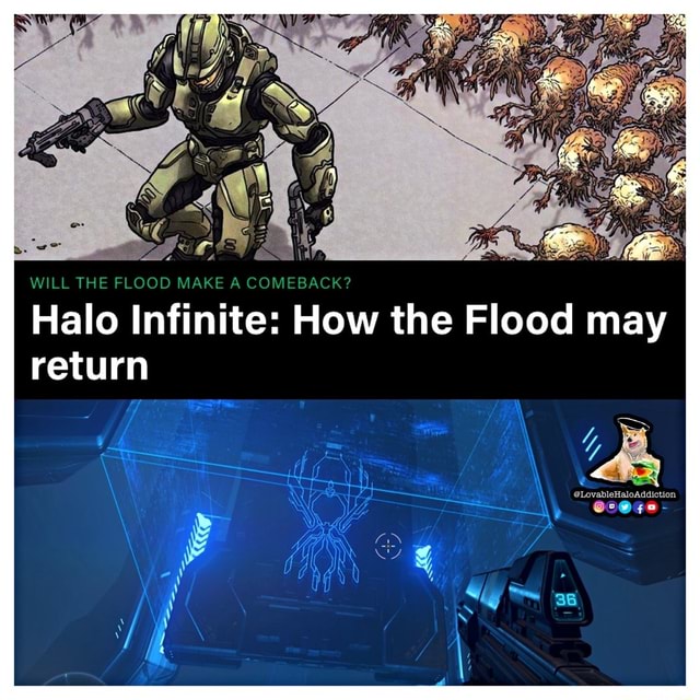 Follow and watch LovableHaloAddiction on Twitch - WILL THE FLOOD MAKE A COMEBACK? Halo Infinite ...