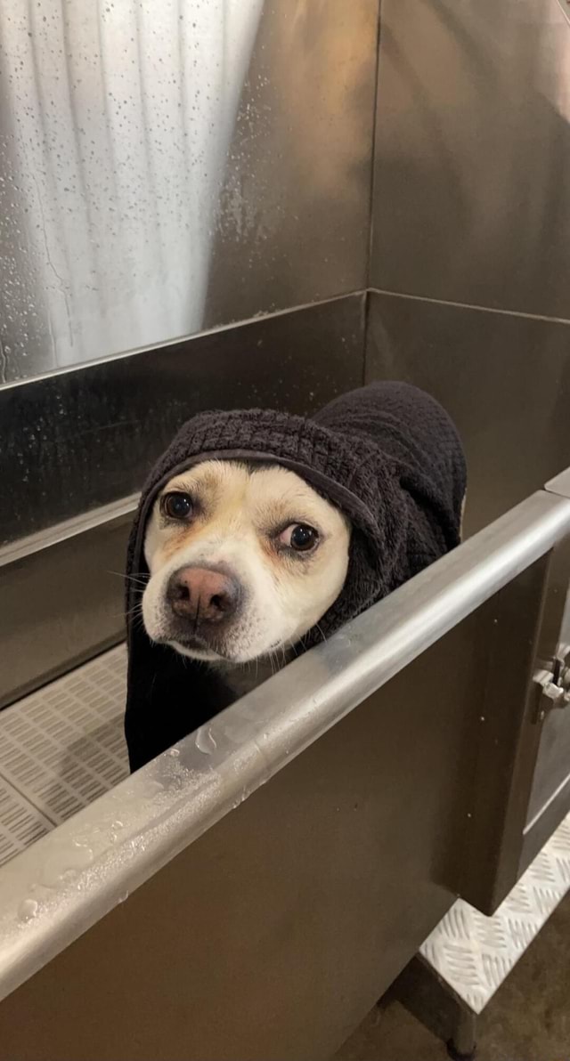 A clean boy is a happy boy - I think? - iFunny