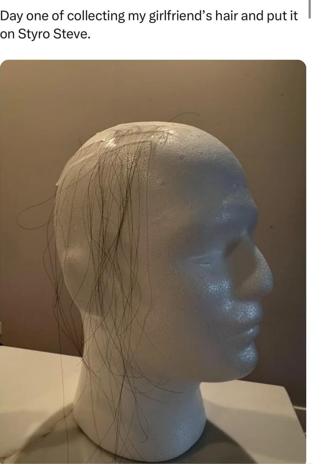 Day one of collecting my girlfriend's hair and put it on Styro Steve ...