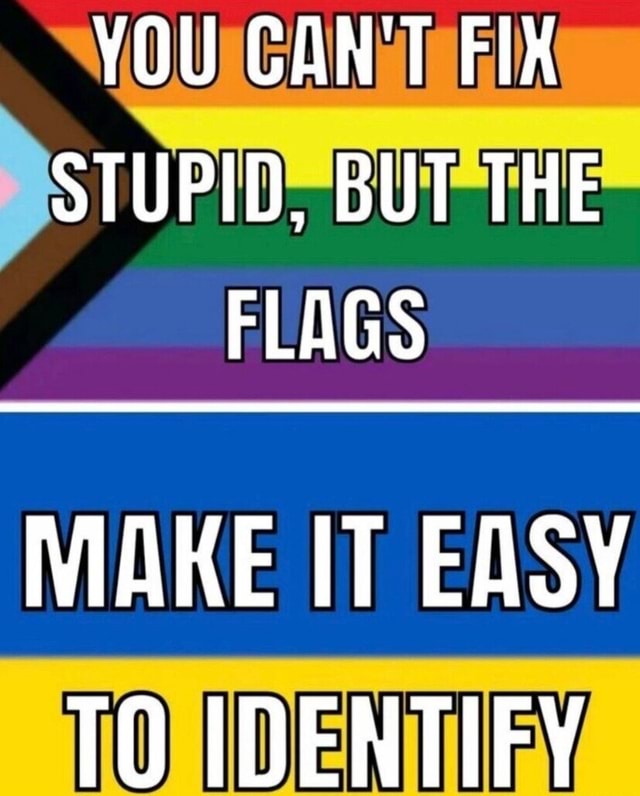 YOU GAN'T FIX STUPID, BUT THE FLAGS MAKE IT EASY IDENTIFY - iFunny