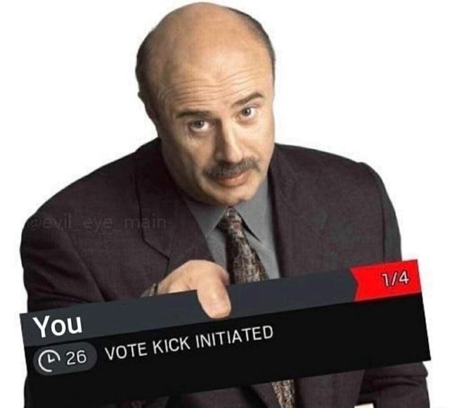 You VOTE KICK INITIATED - iFunny