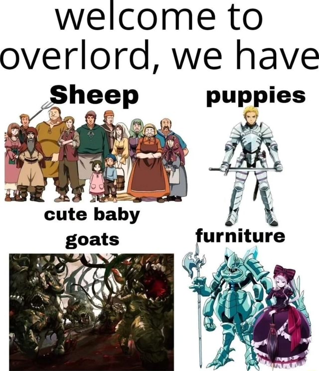 Welcome to overlord, we have puppies cute baby - iFunny