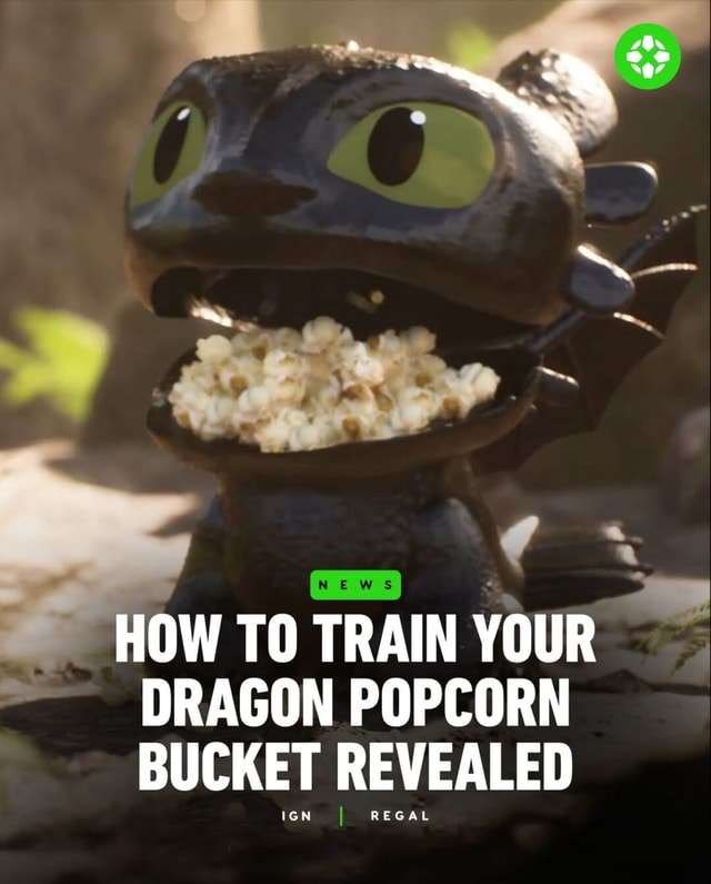 HOW TO TRAIN YOUR DRAGON POPCORN REGAL - iFunny