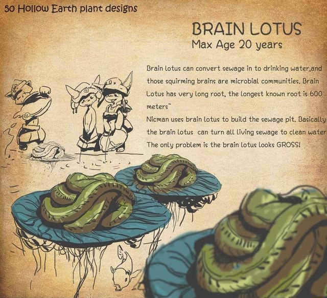 50 Hollow Earth plant designs BRAIN LOTUS Max Age 20 years Brain lotus ...