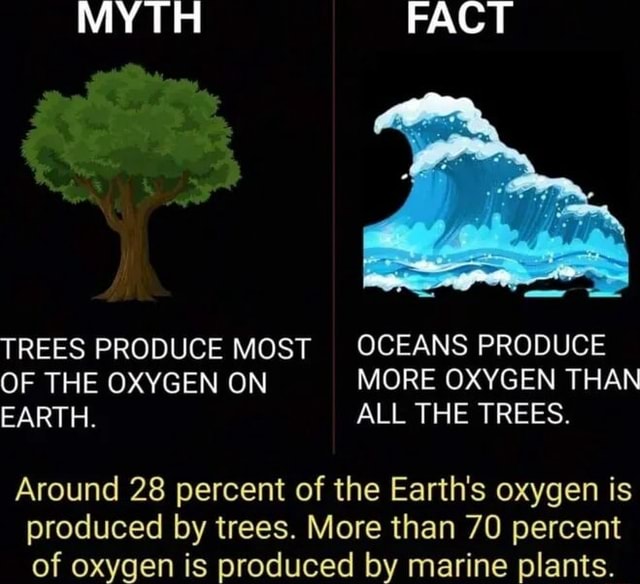 MYTH FACT TREES PRODUCE MOST OCEANS PRODUCE OF THE OXYGEN ON MORE ...