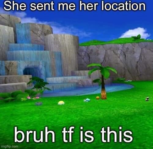 She sent me her location bruh tf is this imgfiip. com: - iFunny