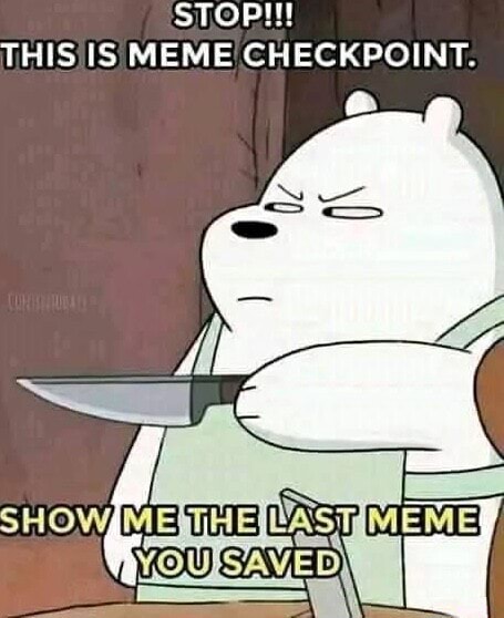 STOP! THIS IS MEME CHECKPOINT, - iFunny
