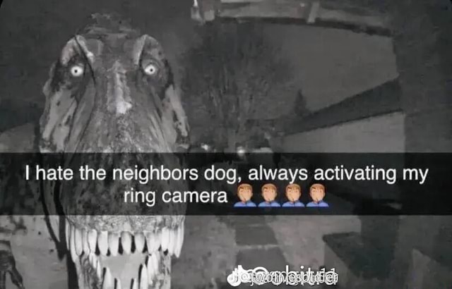 I hate the neighbors dog, al activating my ring camera - iFunny
