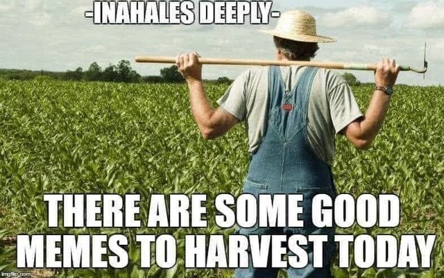 "INAHALES DEEPLY-" THERE ARE SOME GOOD MEMES TO HARVEST TODAY - iFunny