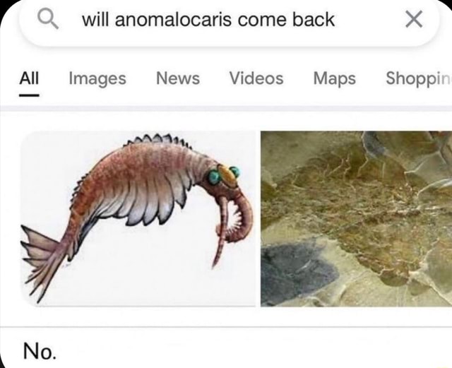 Q will anomalocaris come back All Images News Videos Maps Shoppi: No ...