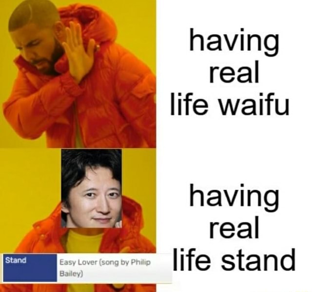 Having real life waifu by having real life stand - iFunny