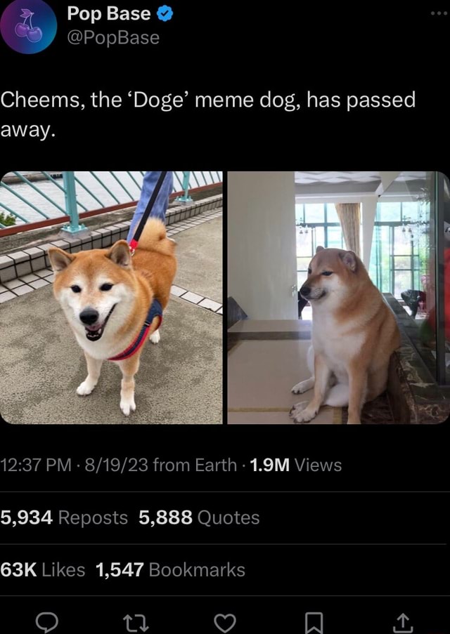 Pop Base @ @PopBase Cheems, the 'Doge' meme dog, has passed away. PM ...