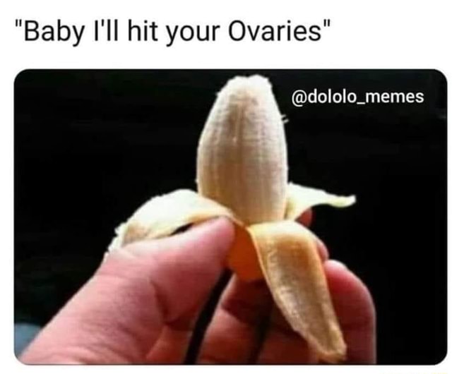 "Baby I'll hit your Ovaries" @dololo_memes - iFunny