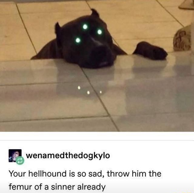 Wenamedthedogkylo Your hellhound is so sad, throw him the femur of a ...