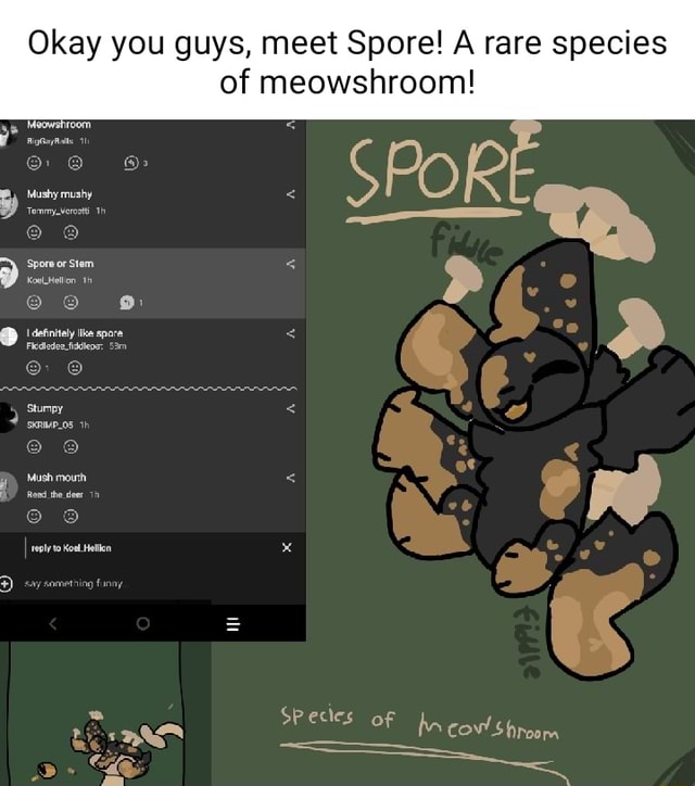 Okay you guys, meet Spore! A rare species of meowshroom! SPORE nate ...