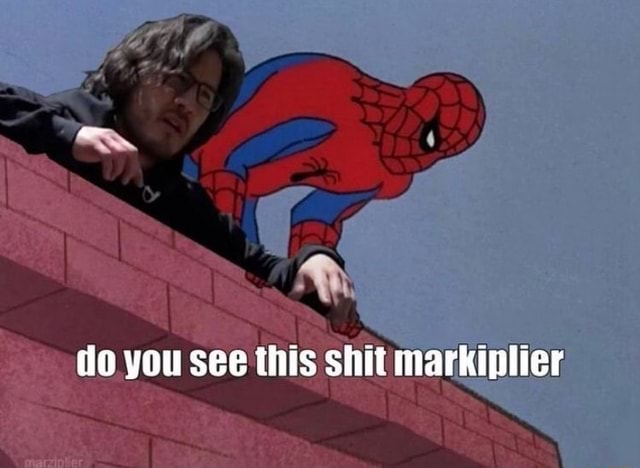 Do you See this shit markiplier - iFunny