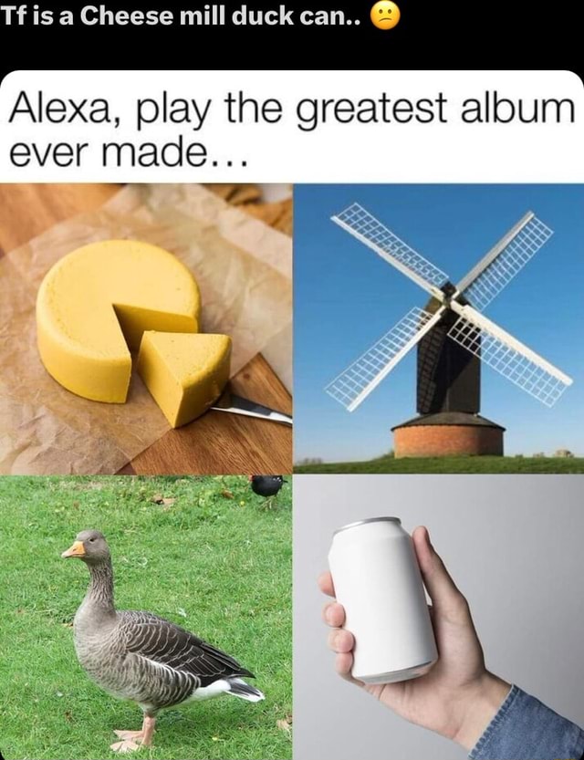 Tf is a Cheese mill duck can.. @ Alexa, play the greatest album ever ...