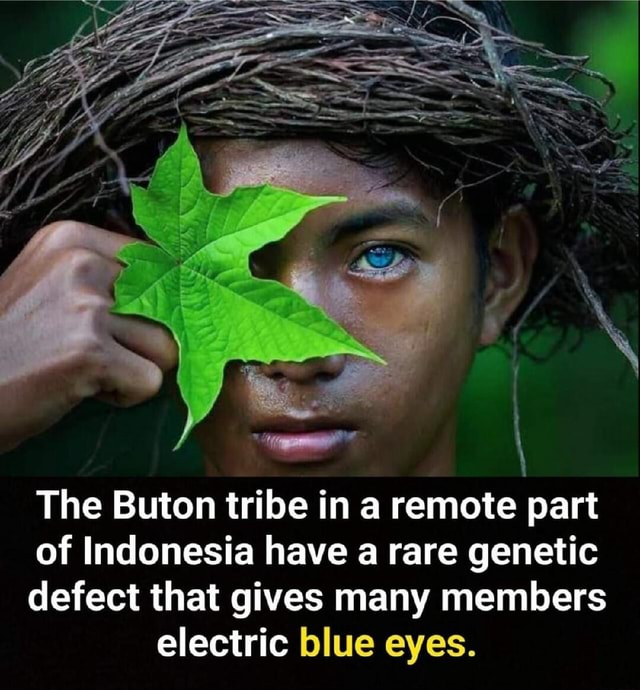 The Buton Tribe In A Remote Part Of Indonesia Have A Rare Genetic Defect That Gives Many Members