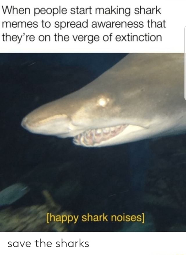 When people start making shark memes to spread awareness that they’re ...