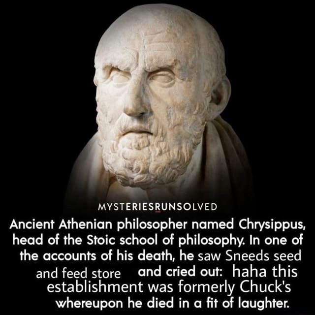 MYSTERIESRUNSOLVED Ancient Athenian philosopher named Chrysippus, head ...