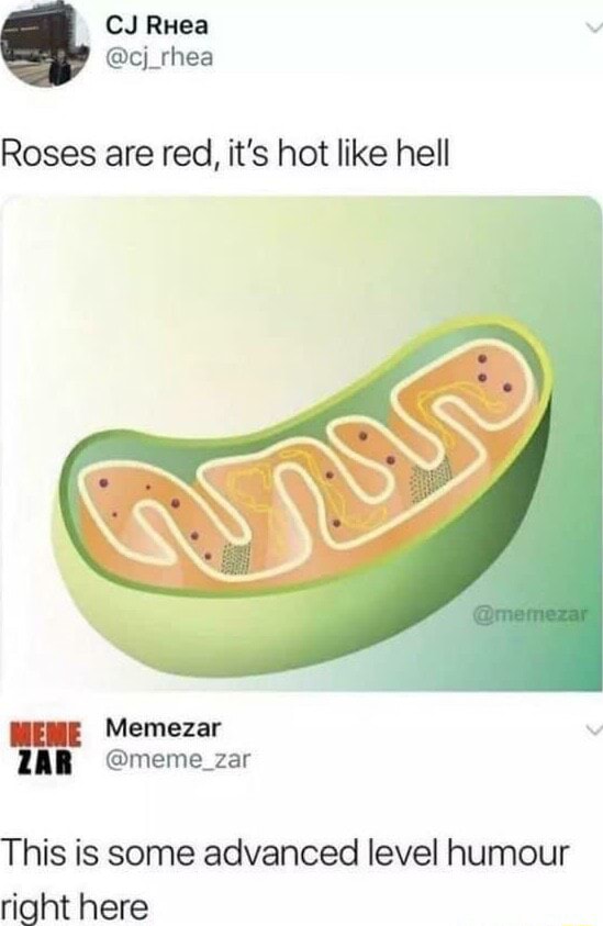 Roses Are Red It s Hot Like Hell MEME Memezar ZAR meme zar This Is roses-are-red-it-s-hot-like-hell-meme-memezar-zar-meme-zar-this-is