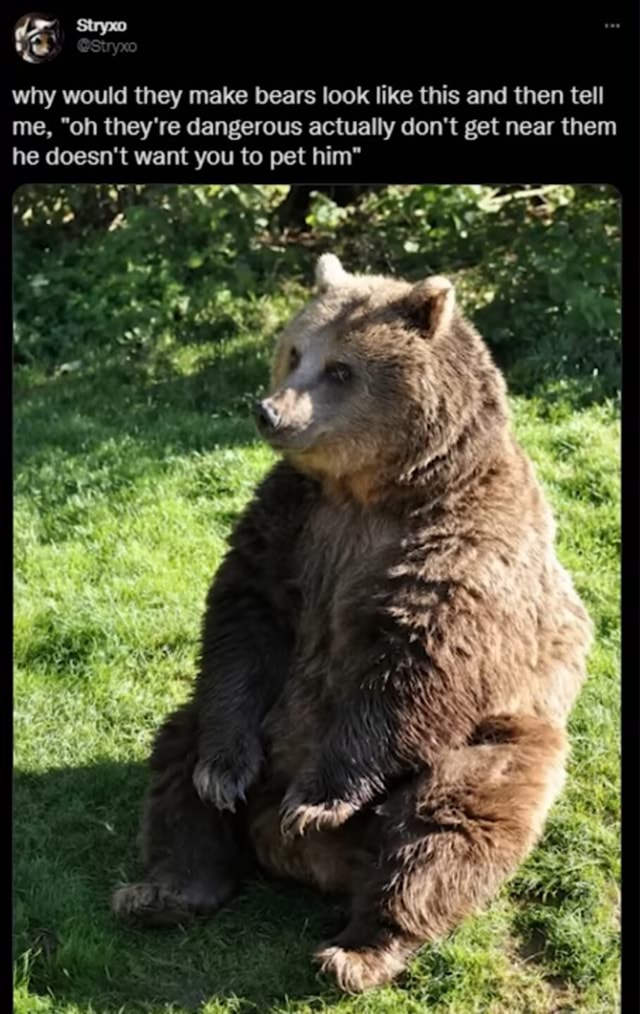 Stryxo why would they make bears look like this and then tell me, "oh ...