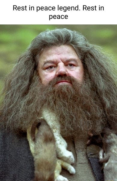 Rest in peace legend. Rest in peace - iFunny