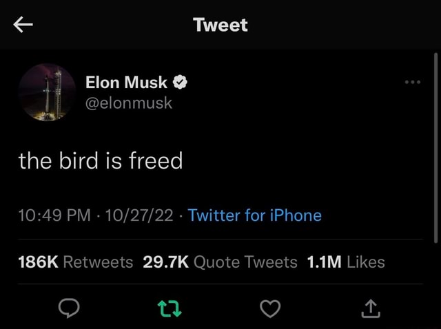 Tweet Elon Musk the bird is freed PM - Twitter for iPhone td - iFunny