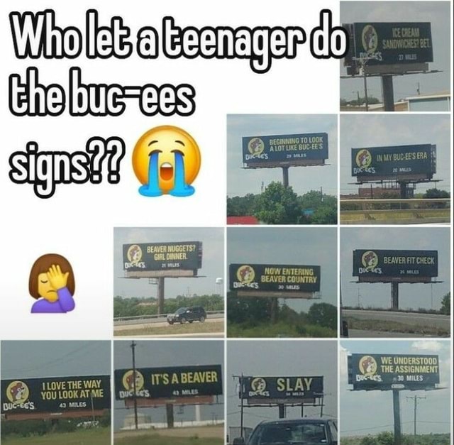 WE UNDERSTOOD THE ASSIGNMENT ries, es THE - iFunny