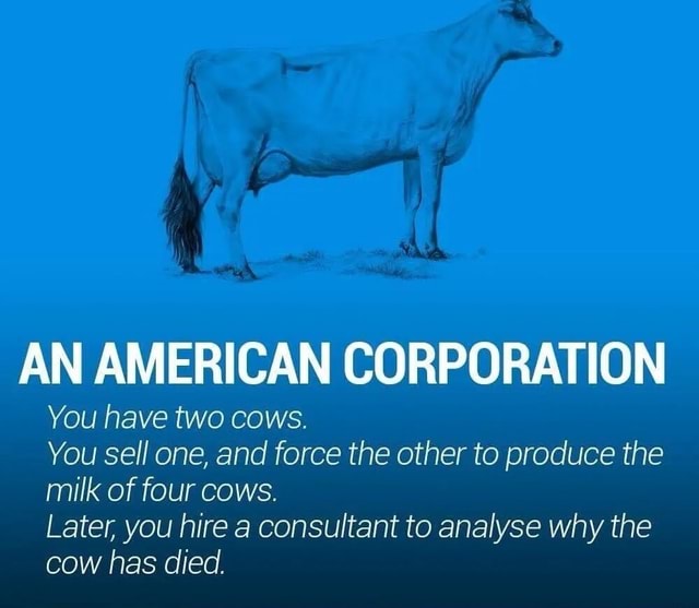 AN AMERICAN CORPORATION You have two cows. You sell one, and force the ...