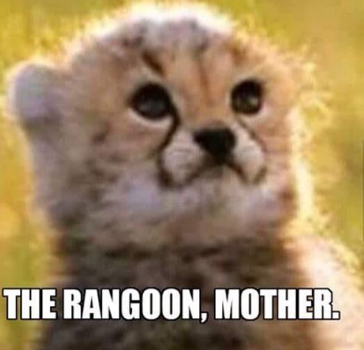 THE RANGOON, MOTHER. - iFunny