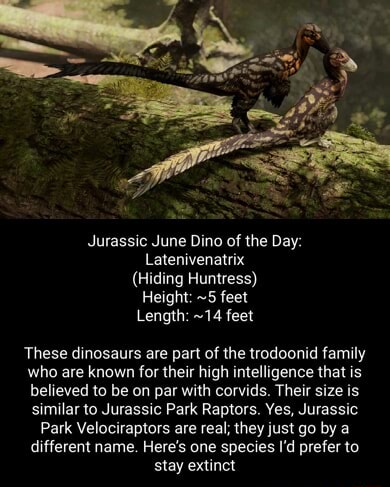 Jurassic June Dino of the Day: Latenivenatrix (Hiding Huntress) Height ...