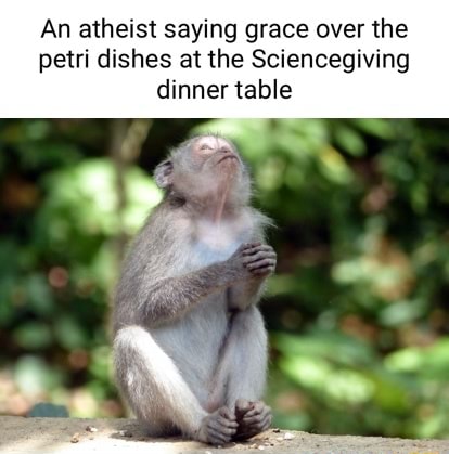 An atheist saying grace over the petri dishes at the Sciencegiving ...