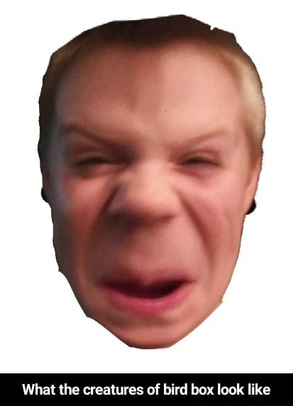 What the creatures of bird box look like - iFunny