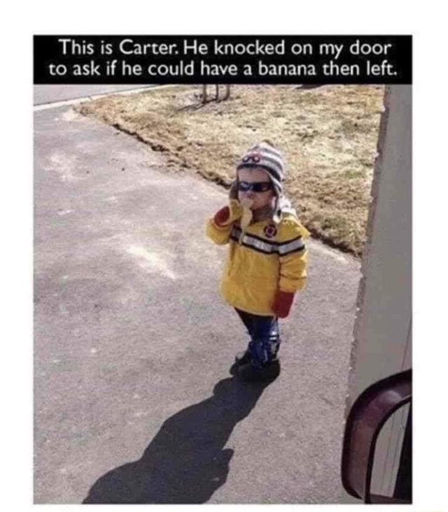 This is Carter. He knocked on my door to ask if he could have a banana ...