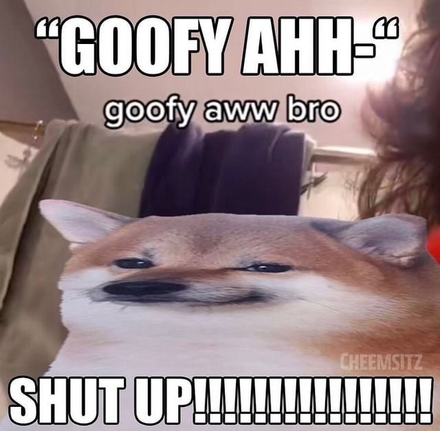 "GOOFY AHH goofy aww bro - )