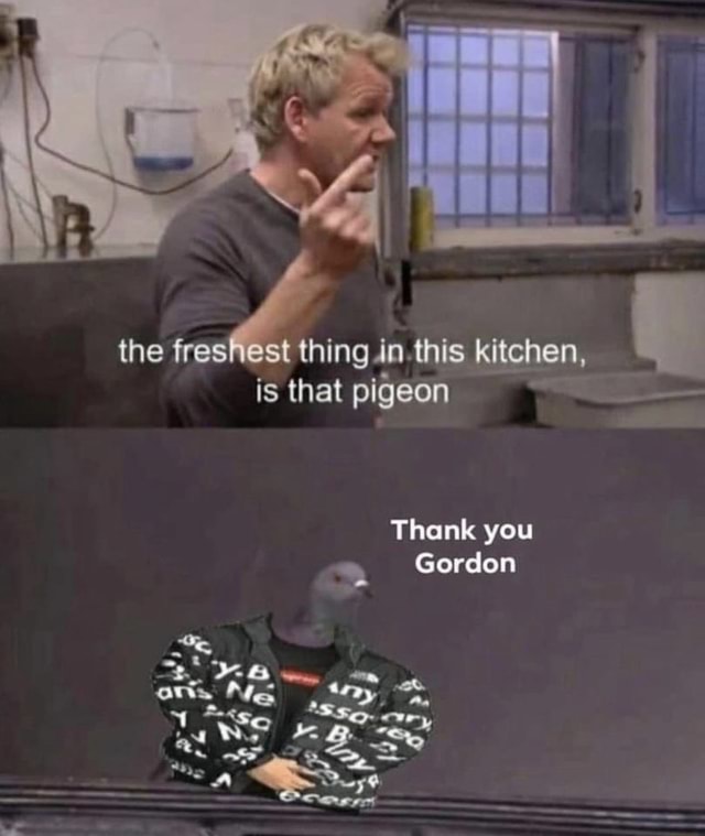 The freshest thing in this kitchen, is that pigeon Thank you Gordon Re ...