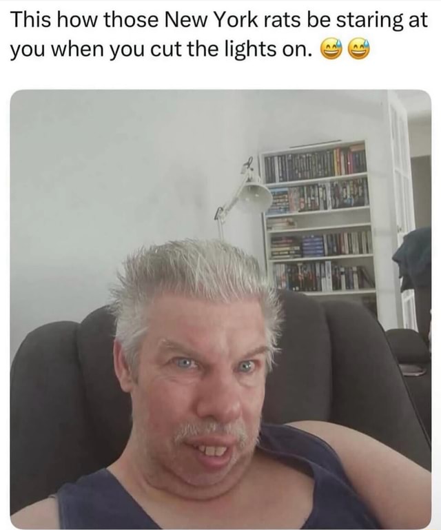 This how those New York rats be staring at you when you cut the lights ...