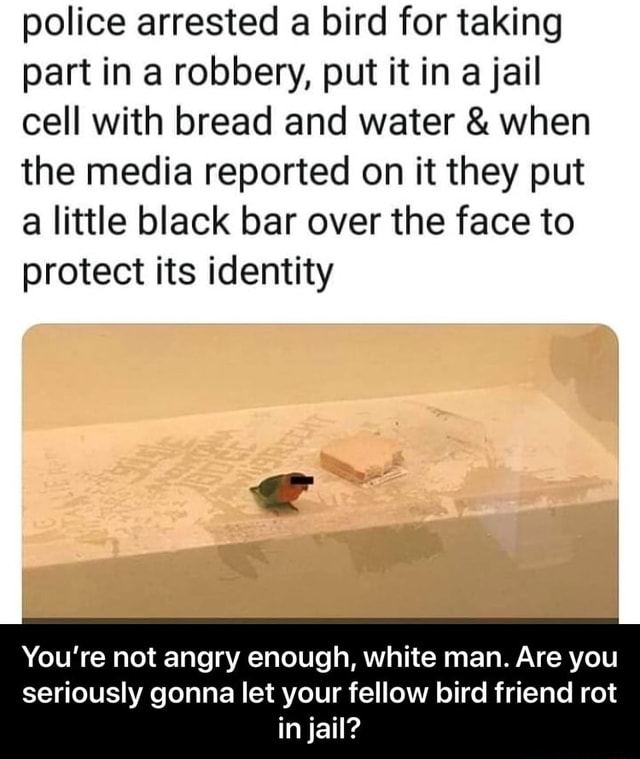 Police arrested a bird for taking part in a robbery, put it in a jail ...