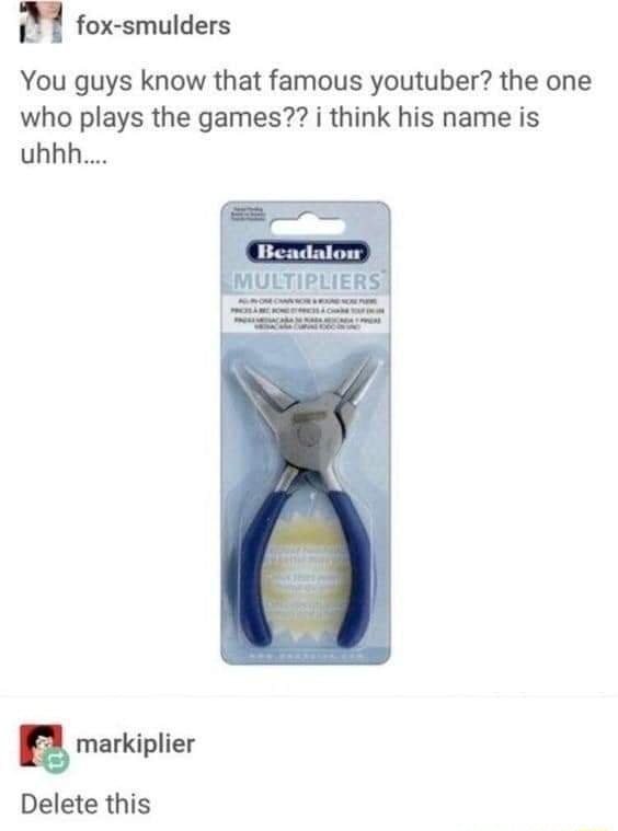 You guys know that famous youtuber? the one who plays the games?? think ...