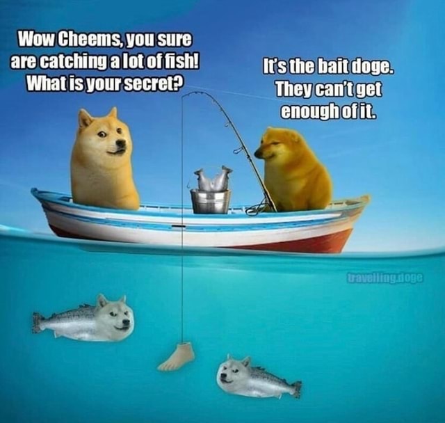 Wow Cheems, you sure are catching alot of fish! It's the lait doge ...