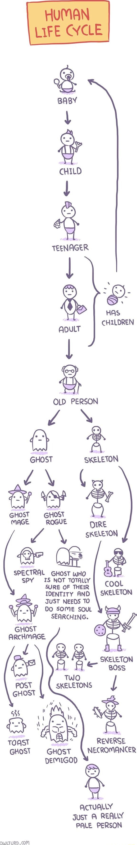 HUMAN LIFE CYCLE BABY CHILD TEENAGER HAS ADULT II CHILDREN OLD PERSON ...