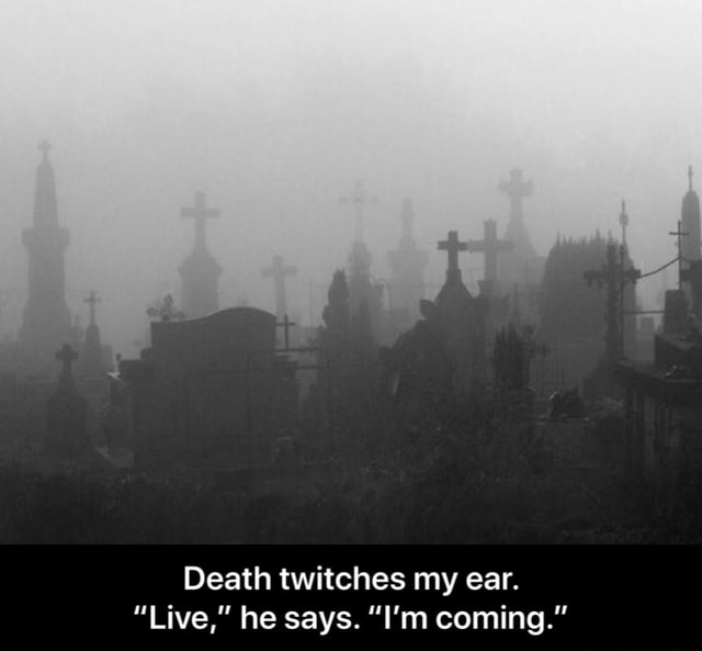 Death twitches my ear. - Death twitches my ear. “Live,” he says. “I’m ...