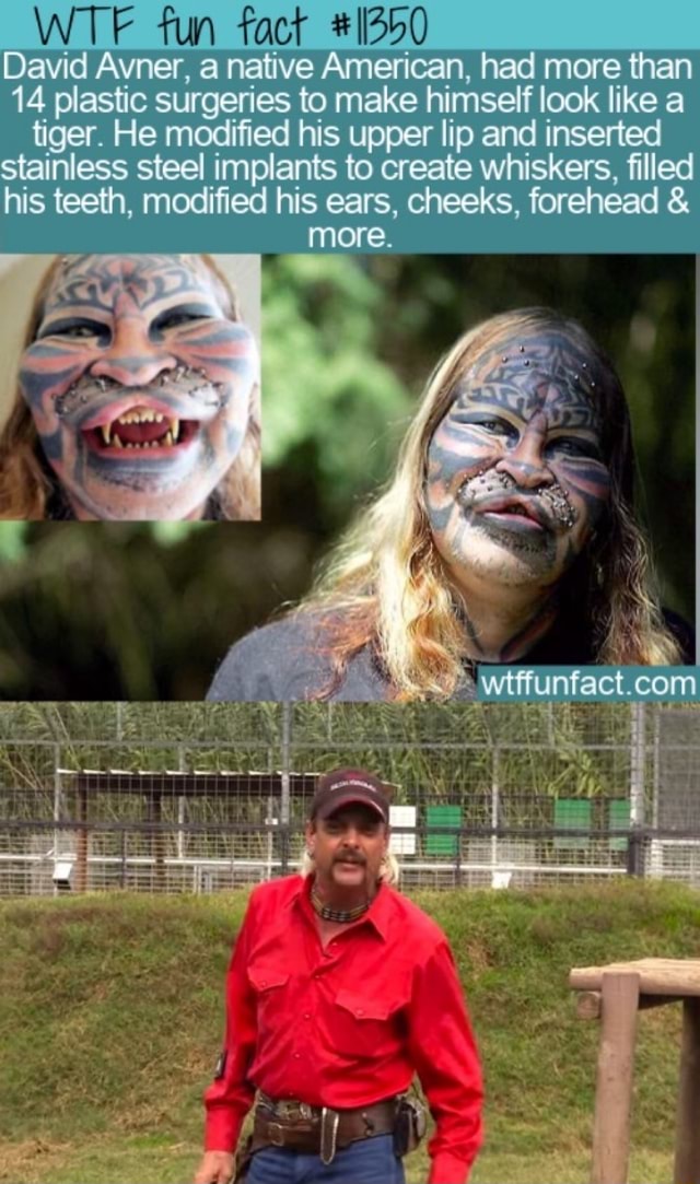 WTF fun fact #I250 David Avner, a native American, had more than 14 ...