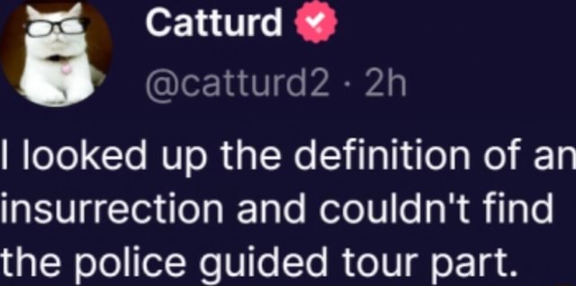 Catturd (@catturd2 I looked up the definition of an insurrection and ...