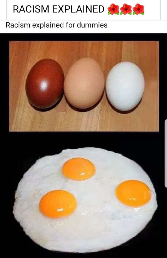 RACISM EXPLAINED Racism explained for dummies - America’s best pics and ...