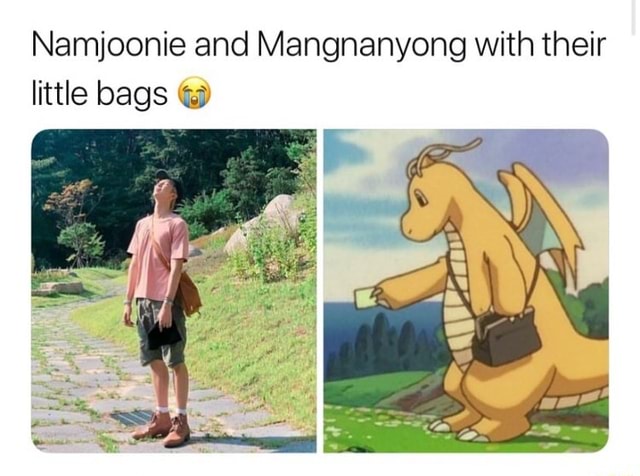Namjoonie and Mangnanyong With their little bags © - iFunny